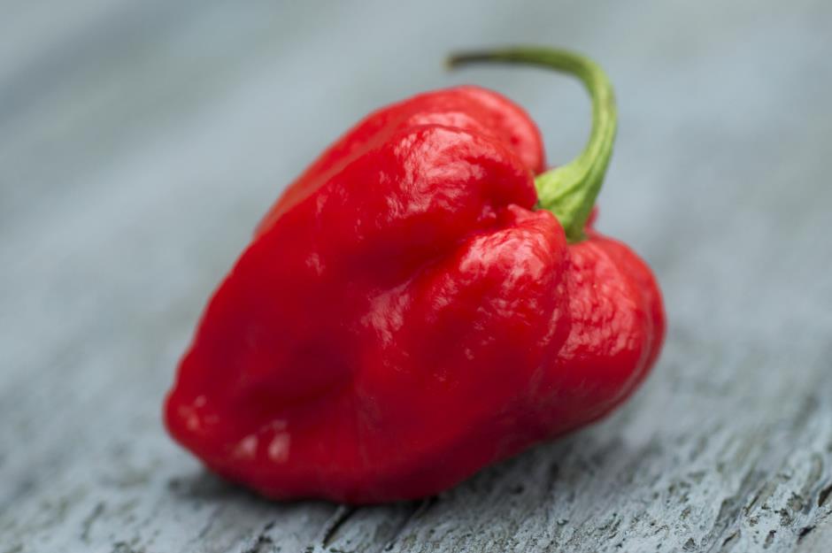 What is the hottest chilli in the world? | lovefood.com