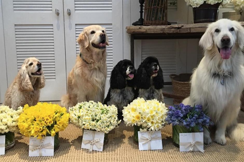 The world’s richest animals | lovemoney.com