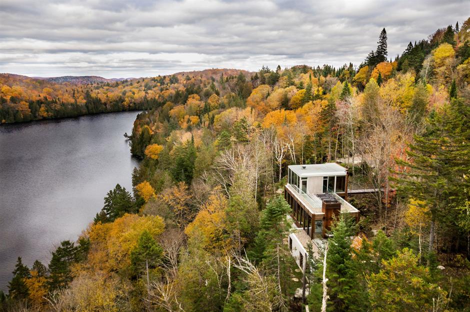 10 gorgeous homes hidden inside forests | loveproperty.com