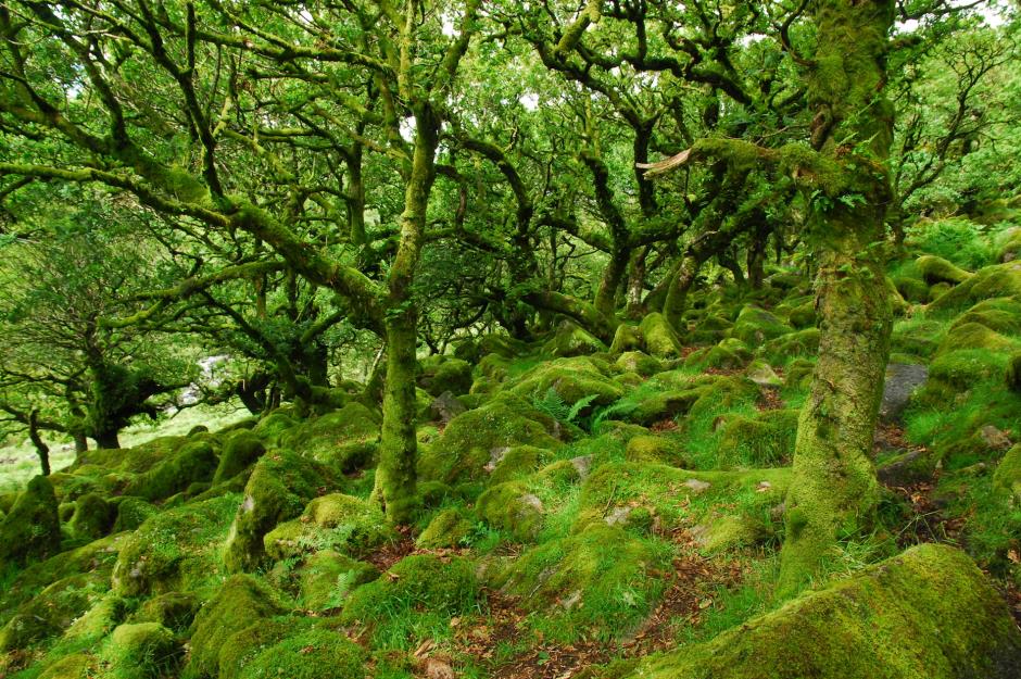 25 magical Harry Potter locations around the world | loveexploring.com