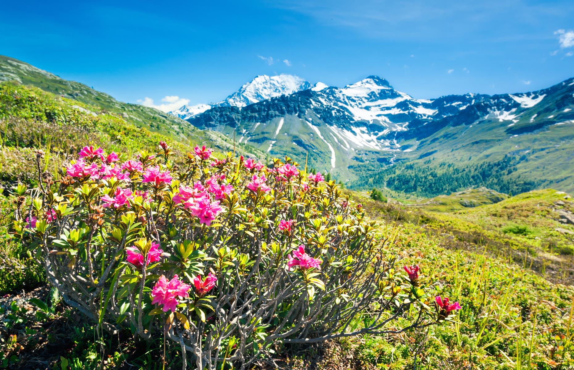 101 incredible things on planet Earth you must see | lovemoney.com