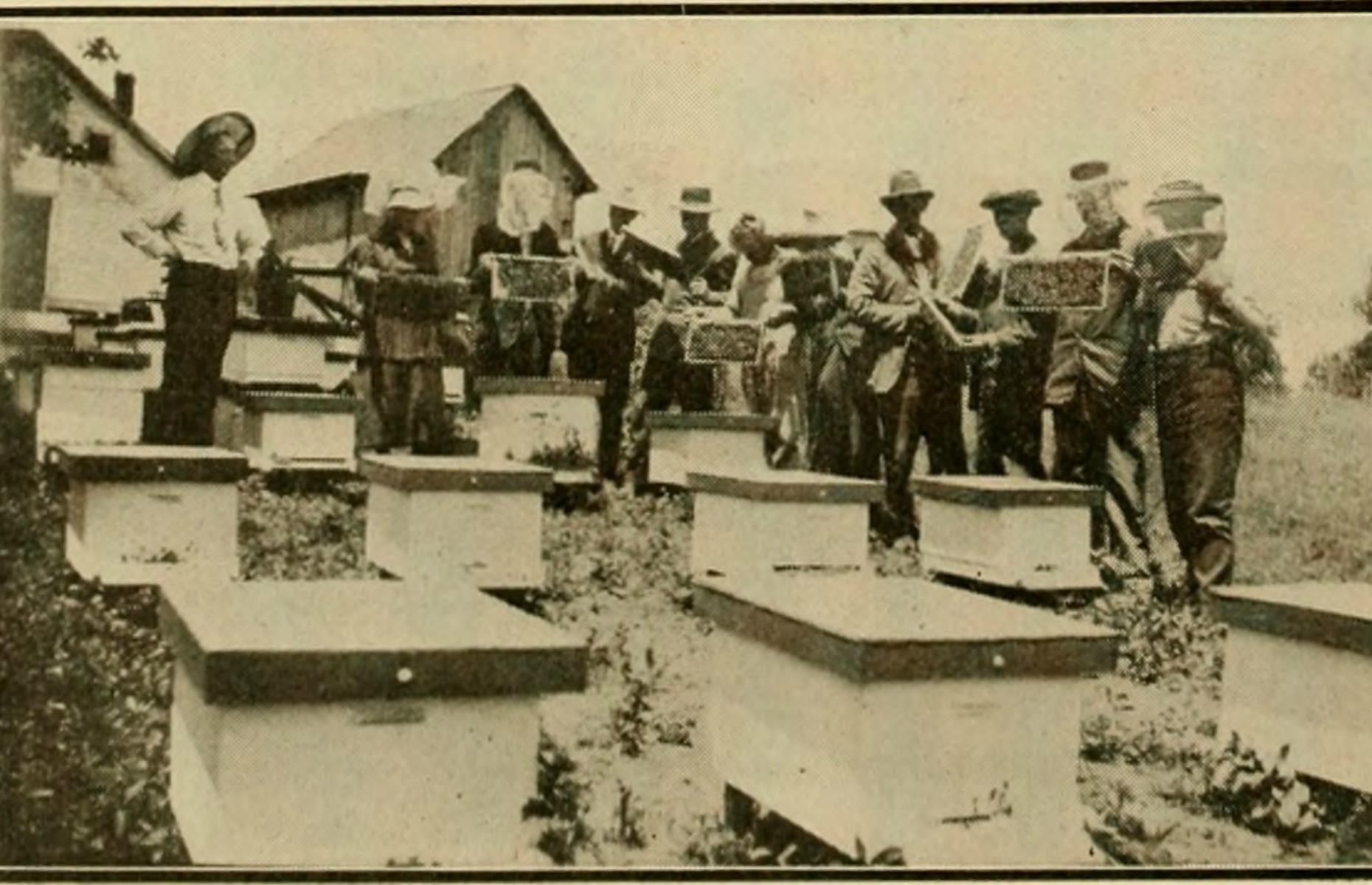 Old-fashioned jobs making a comeback in modern America | lovemoney.com