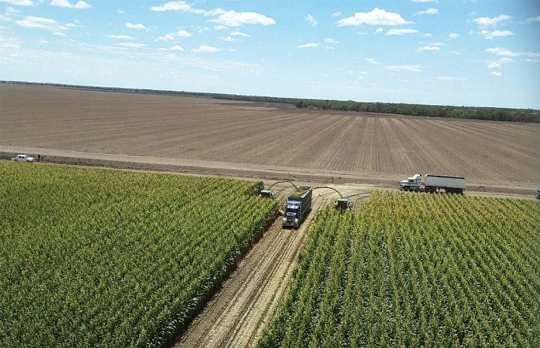 Revealed: Australia's biggest private landowners | lovemoney.com