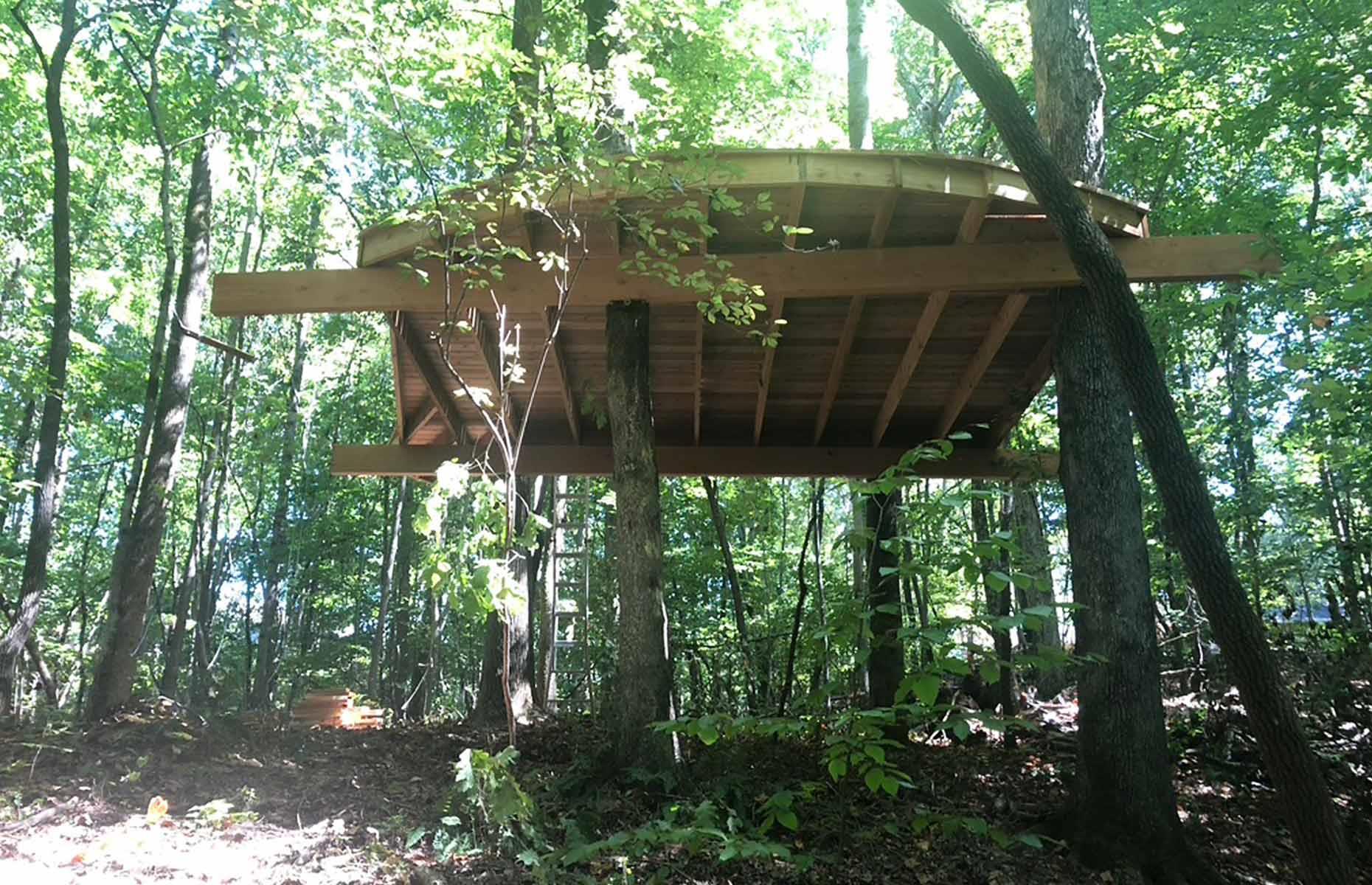 How one man built a magical treehouse in the woods (copy) | lovemoney.com