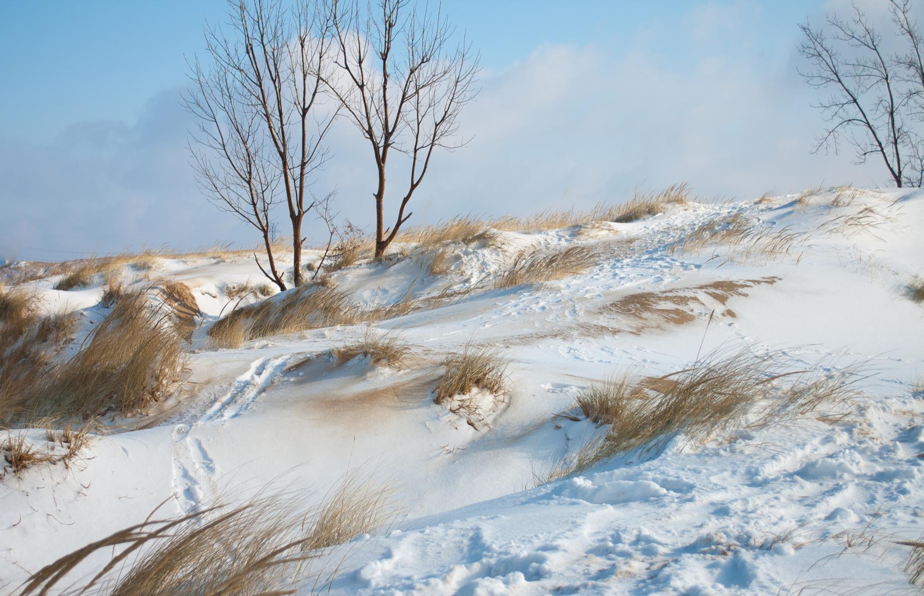 Best American national parks to visit this winter | lovemoney.com