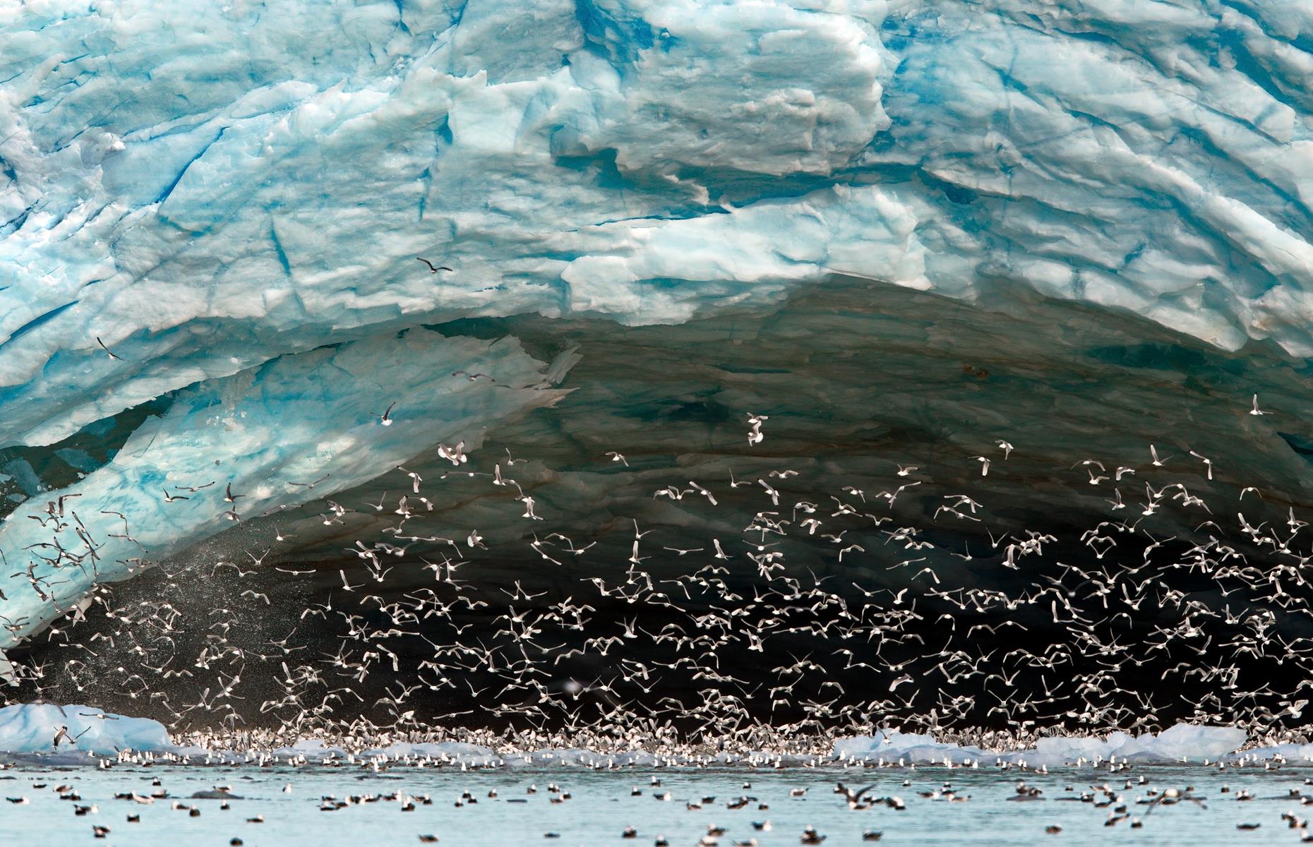 101 incredible things on planet Earth you must see | lovemoney.com