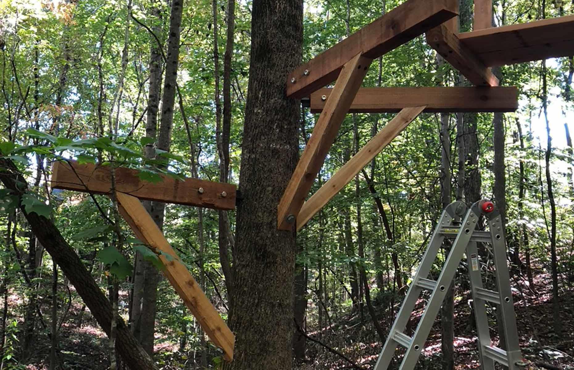 This dad built an awesome treehouse in the woods | lovemoney.com