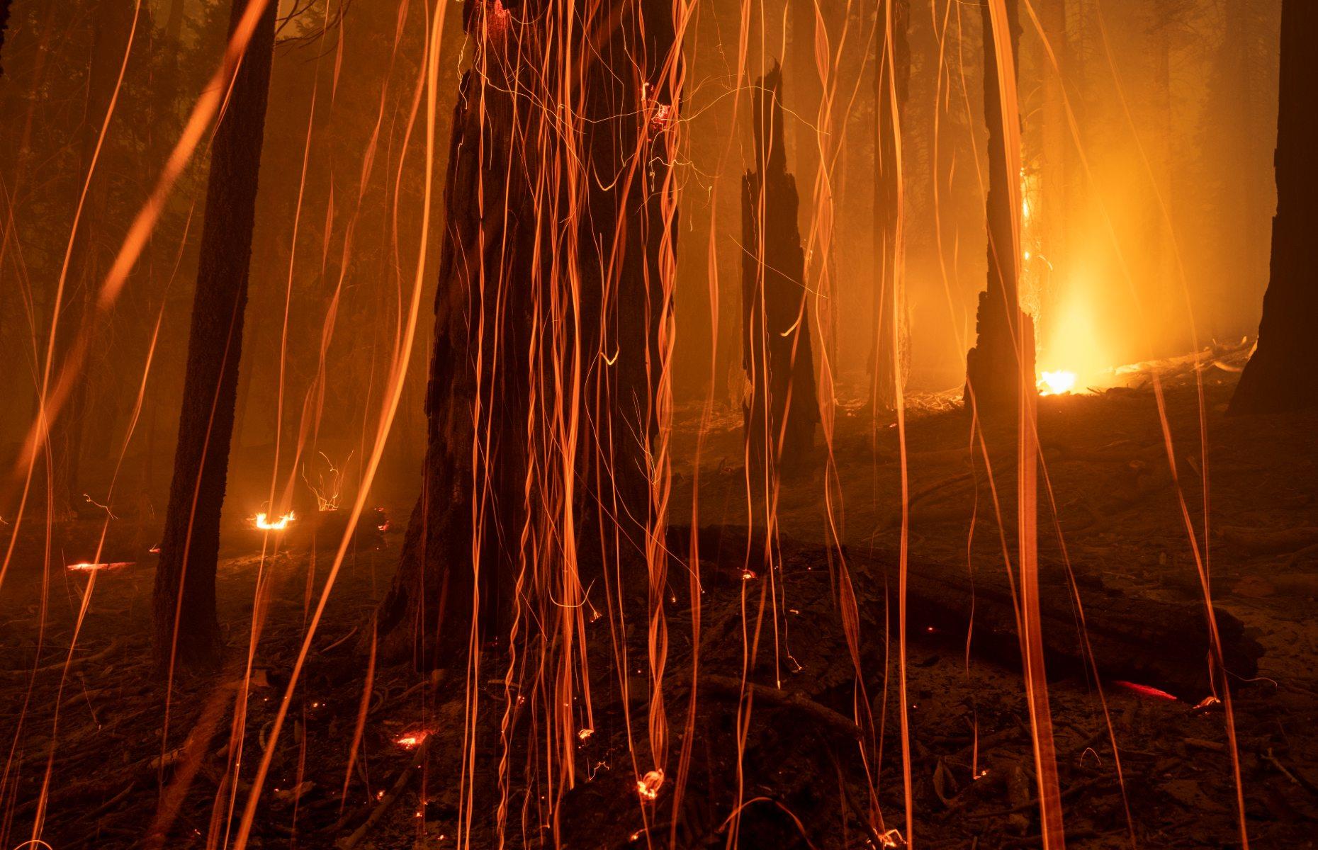 Shocking images that show the impact of climate change in 2021 ...