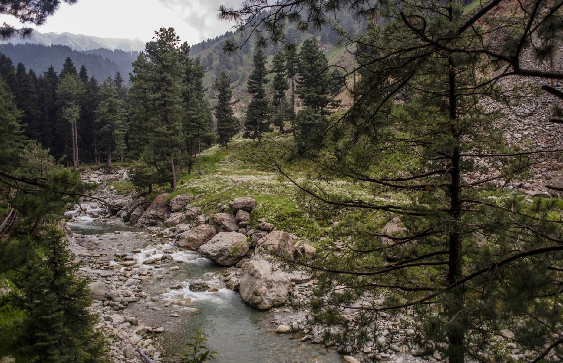 Ecosystems that have bounced back from the brink | lovemoney.com