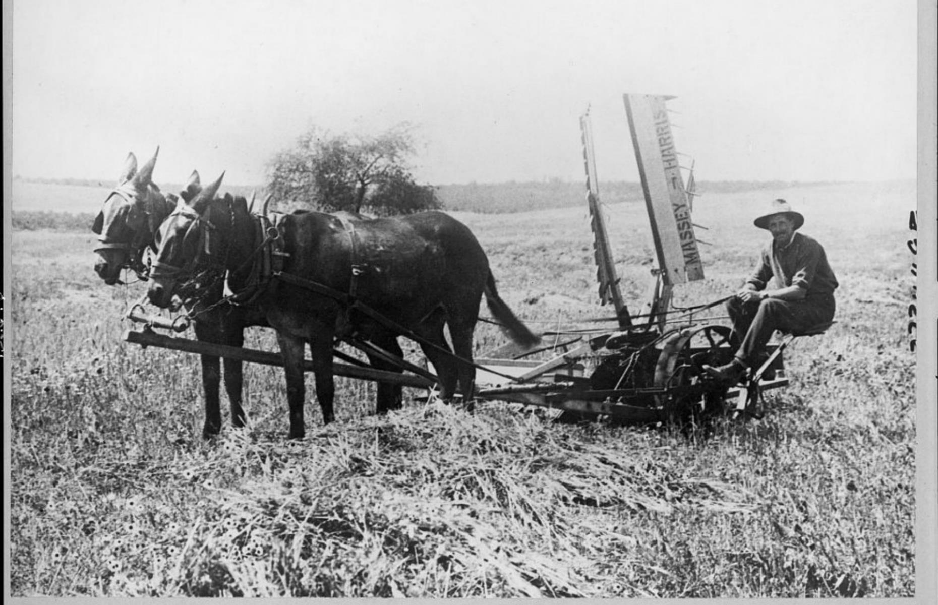 Old-fashioned jobs making a comeback in modern America | lovemoney.com