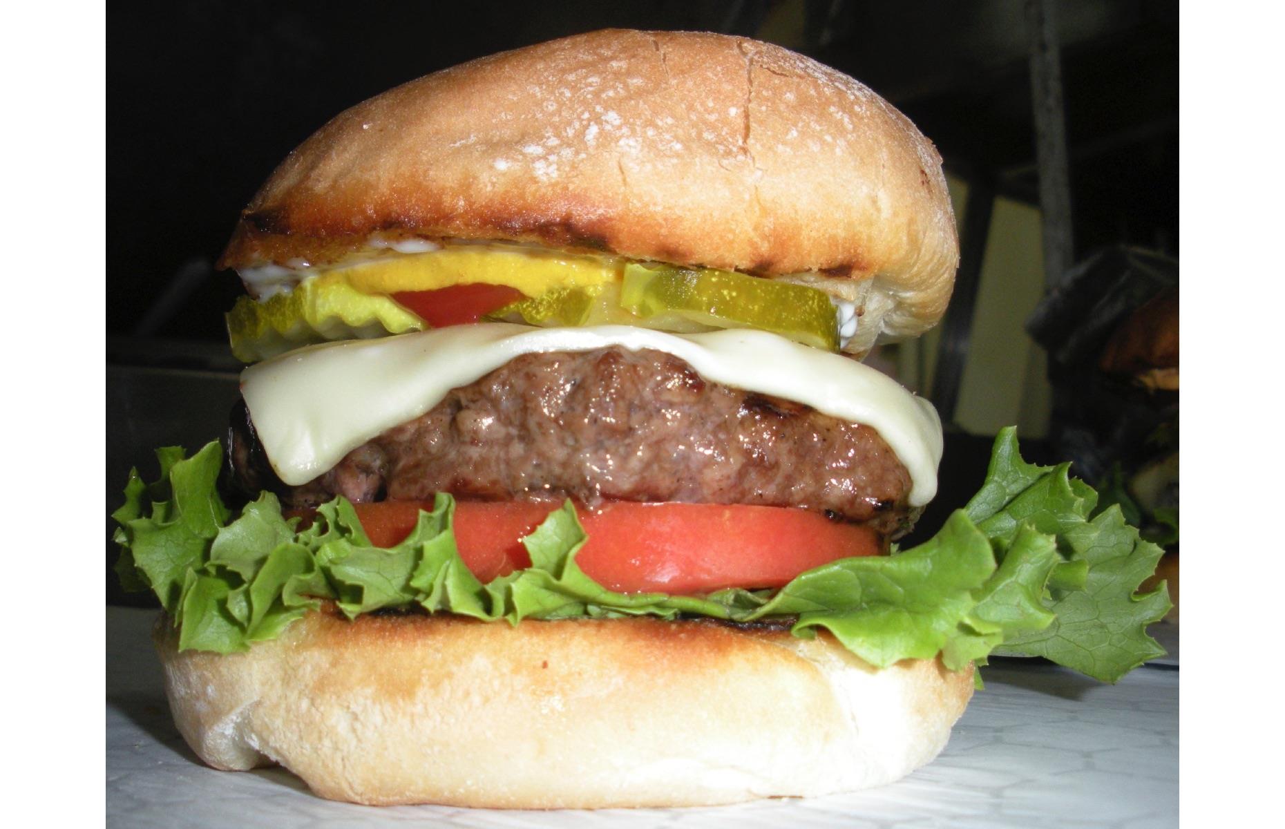 The best cheeseburger in every state | lovemoney.com
