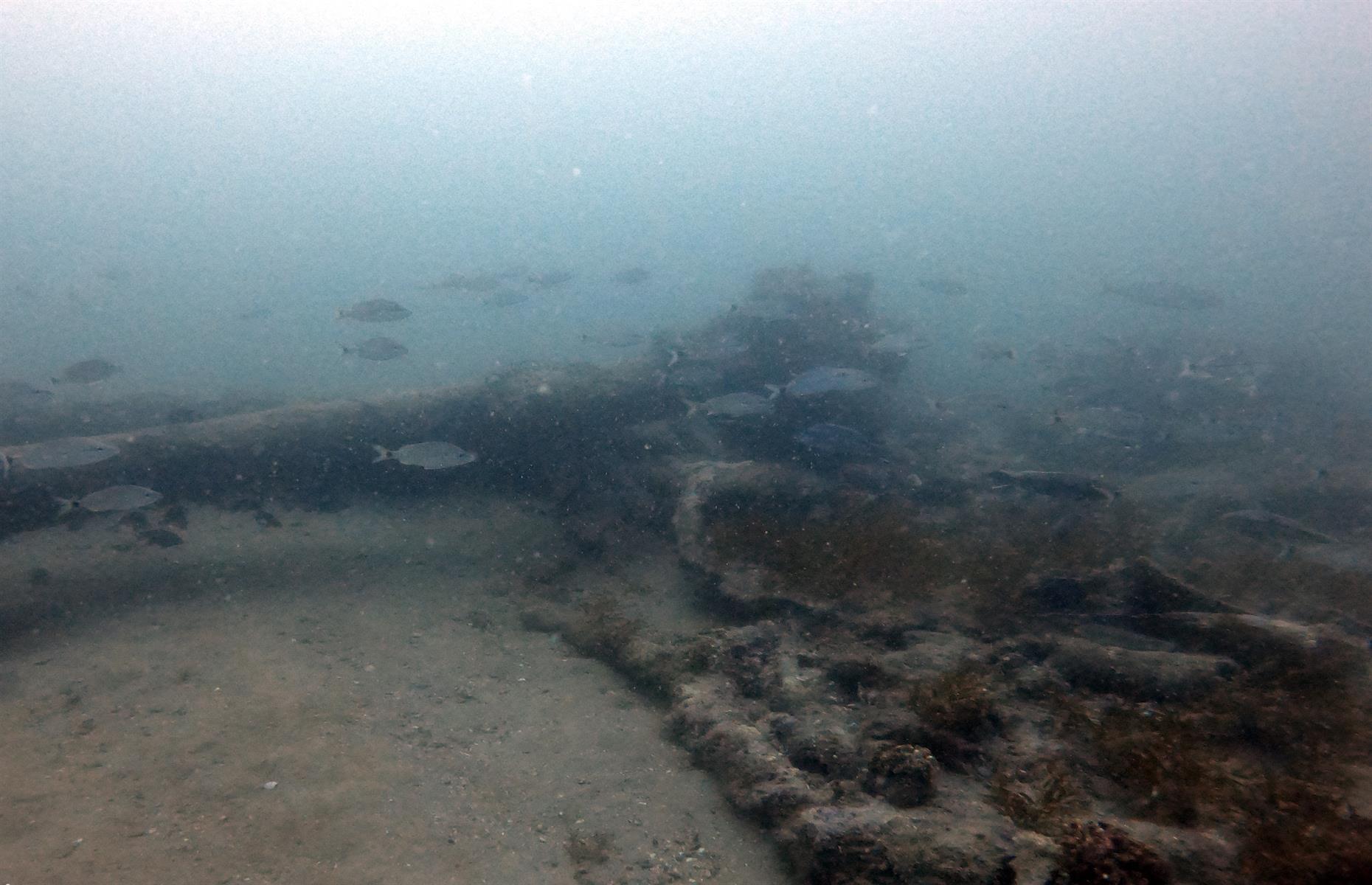 Incredible treasures found under the sea | lovemoney.com