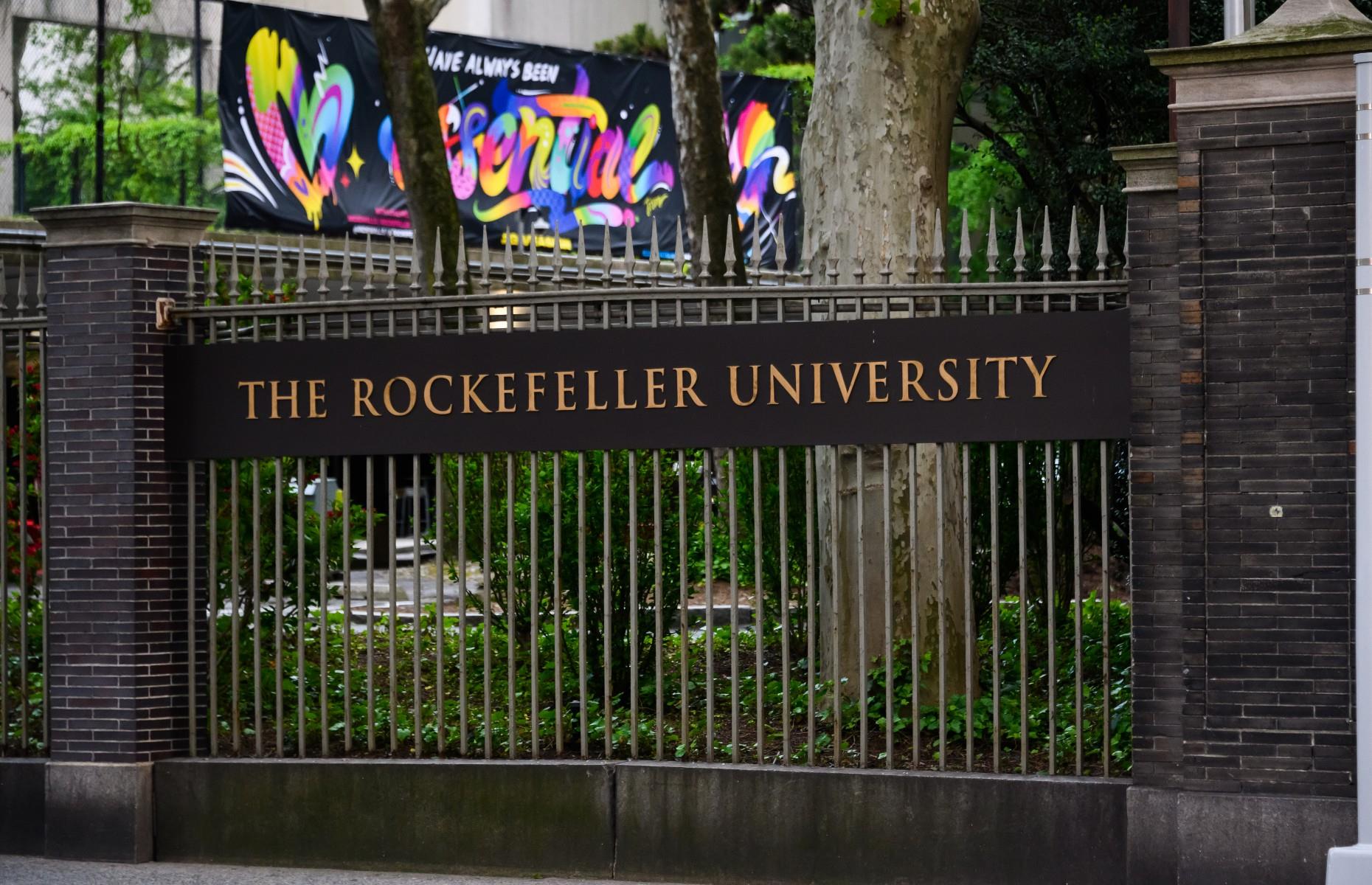 How John D. Rockefeller built an oil dynasty and made billions ...