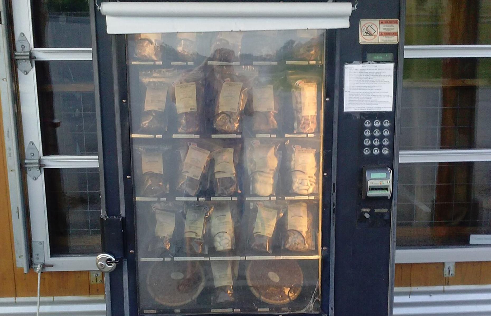 The world's most amazing vending machines | lovemoney.com