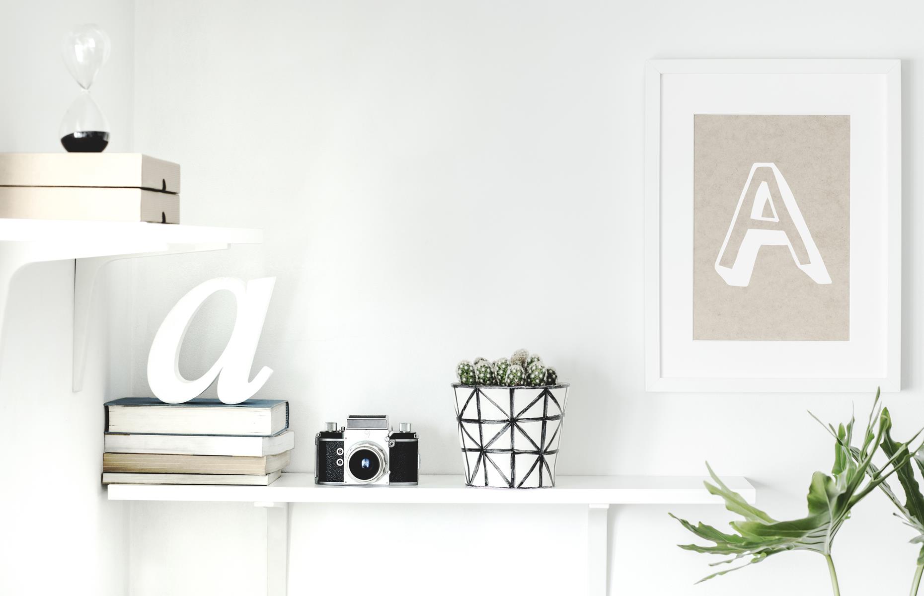 15 of the best houseplants for every home | lovemoney.com