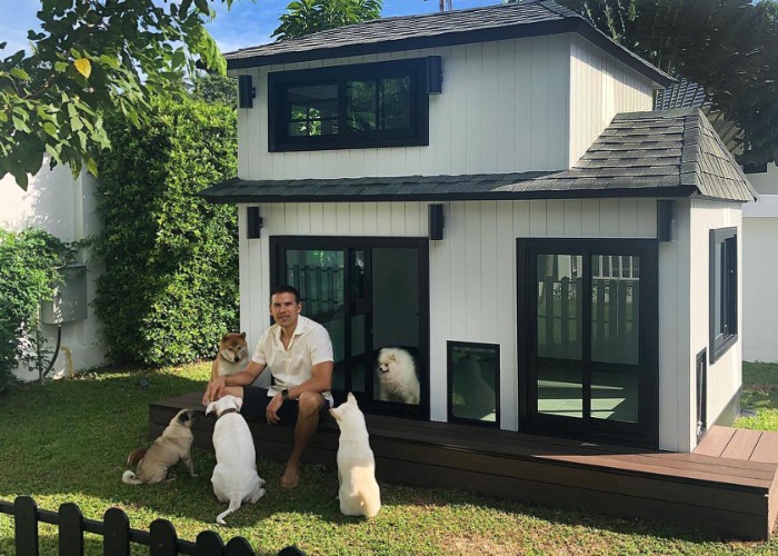 Luxury dog houses and accessories for your pampered pooches | lovemoney.com