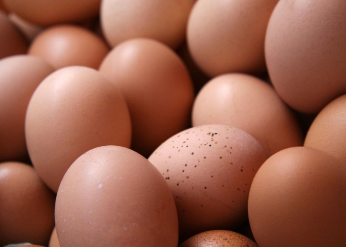 Eggflation: the countries paying the most and least for eggs, and why ...