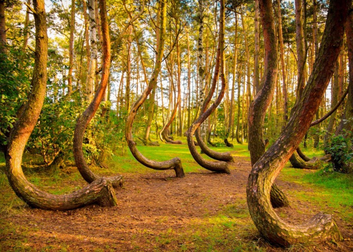 The strangest places in the world | loveexploring.com