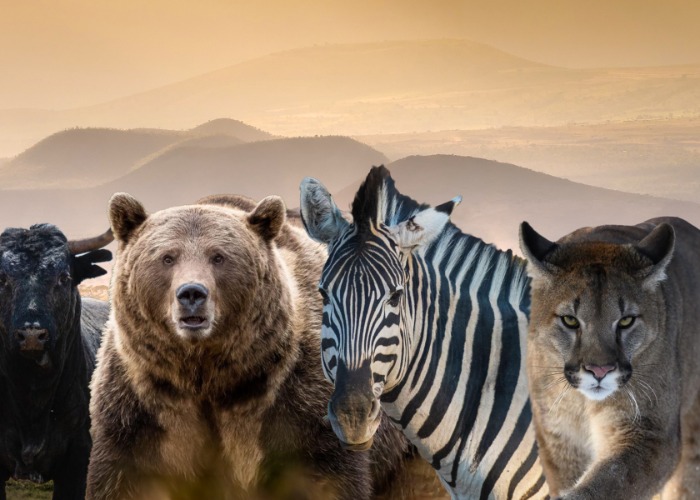 The world's deadliest beasts of all time: ranked | loveexploring.com