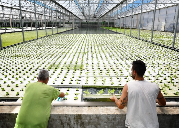 Incredible pictures of the world’s most futuristic farms | lovemoney.com