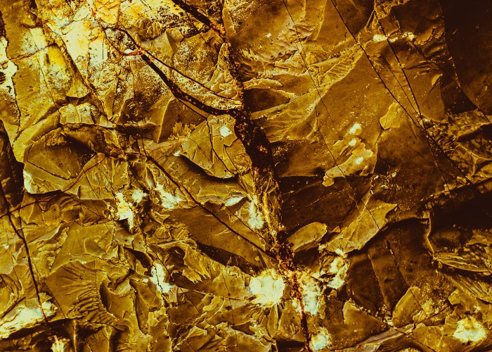 American gold discoveries that changed the nation’s history | lovemoney.com