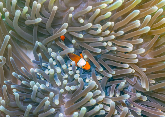 Ecosystems that have bounced back from the brink | lovemoney.com