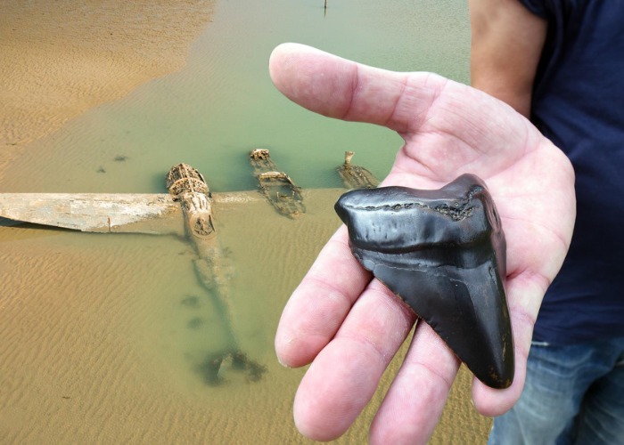 Strange things that have washed up on beaches | loveexploring.com