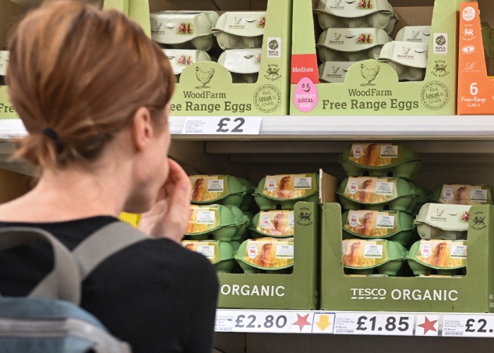 Eggflation: the countries paying the most and least for eggs, and why ...