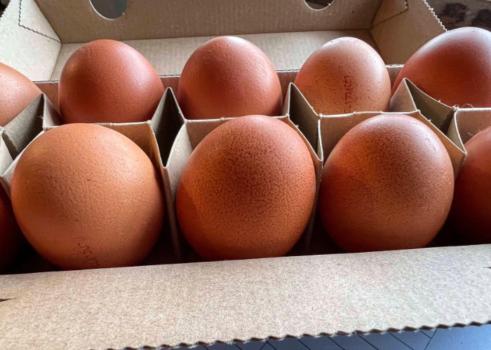 Eggflation: the countries paying the most and least for eggs, and why ...