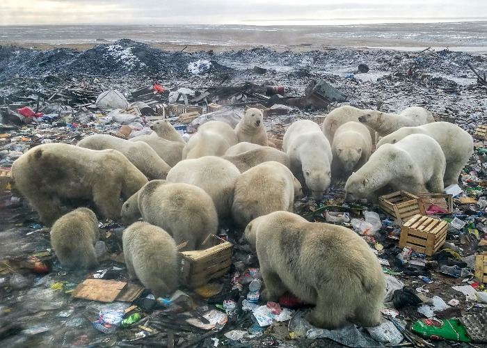 Incredible images that show the true impact of climate change ...