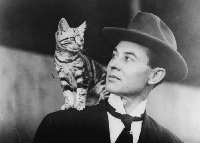 A global history of cats in vintage photos | loveexploring.com