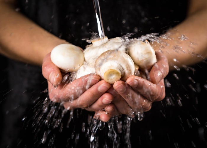 Desmitificando: 30 mitos sobre la comida que todos hemos creído ...