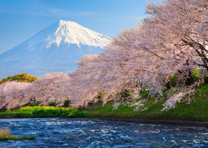 The best ways to see spring come alive, ranked | loveexploring.com