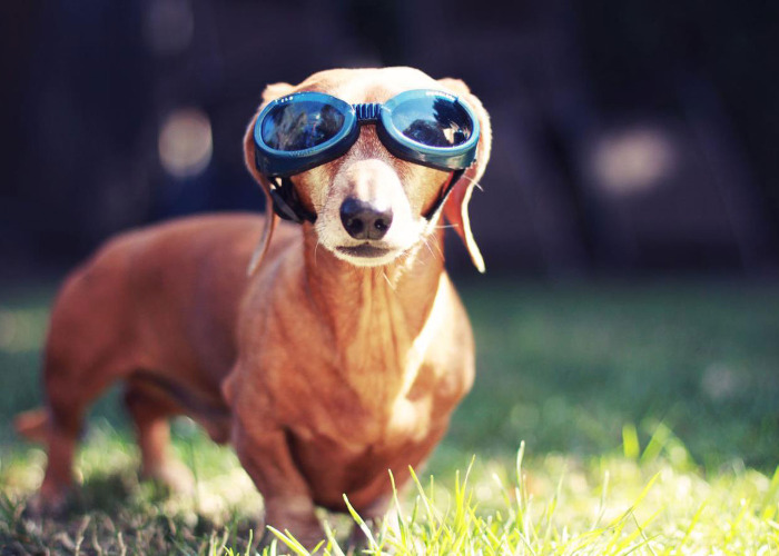 The most unusual things you can buy | lovemoney.com