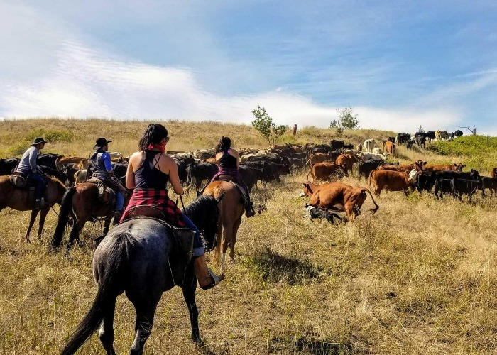 Saddle up: America’s coolest dude ranches | loveexploring.com