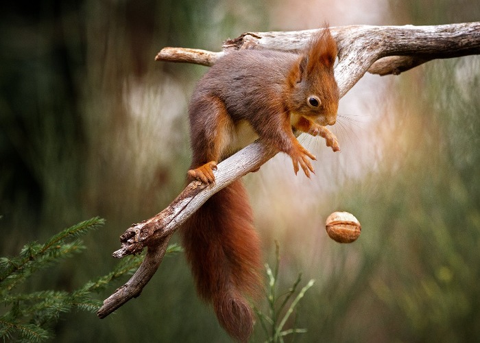 Adorable animal photos that will make you smile | lovemoney.com