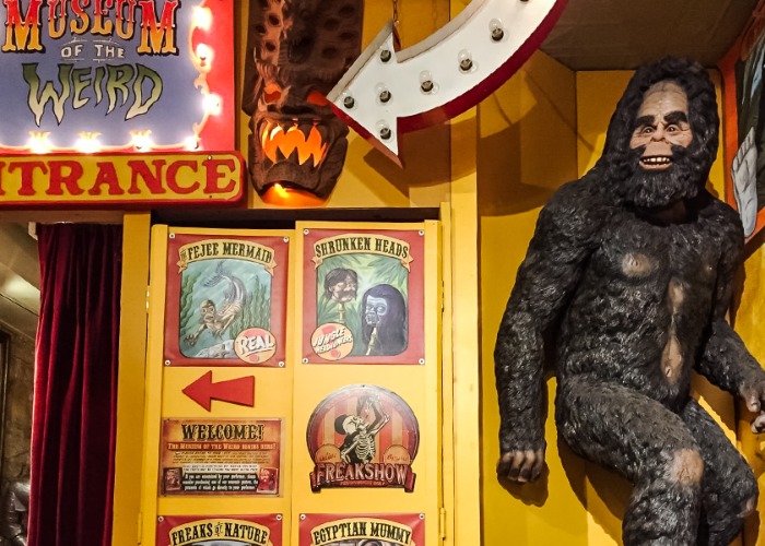 Obscure America: the strangest museums in the USA | loveexploring.com