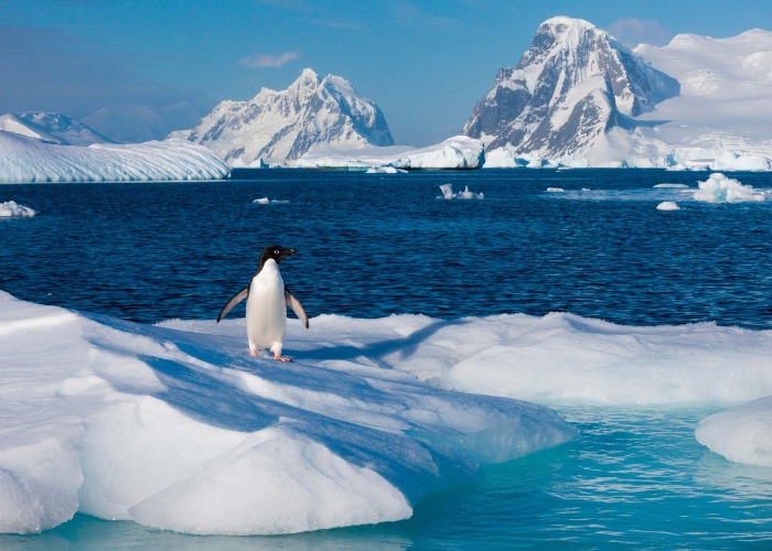 21 amazing new discoveries made about planet Earth in 2021 ...