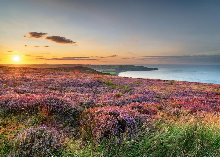 Britain’s most beautiful wild places you can explore this year ...